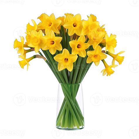 Yellow Daffodils Bouquet 48111997 Png