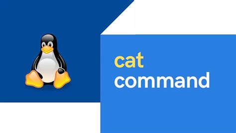 Cat Command Examples For Beginners Cheatsheet Golinuxcloud