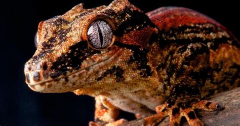 Why Even Bother With Sex American University Washington Dc