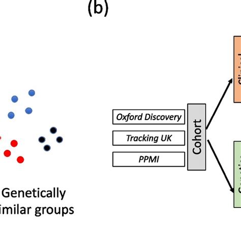 Identifying The Underlying Phenotypic Axes Using A Bayesian Mixed Model