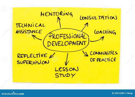 Professional Development Programmer Cooperating Meeting And