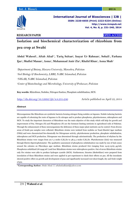 Pdf Isolation And Biochemical Characterization Of Rhizobium From Pea