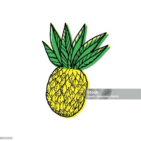 파인애플 스케치 스타일 낙서의 그려진 요소 잎이있는 전체 파인애플 흰색 배경에 고립 된 벡터 간단한 일러스트레이션 0명에 대한 스톡 벡터 아트 및 기타 이미지 Istock