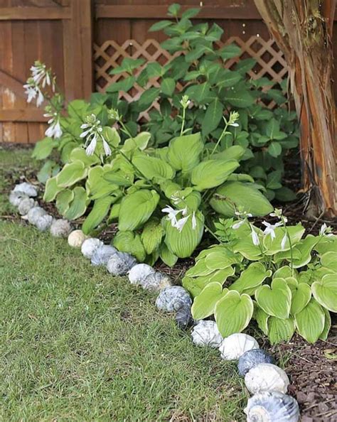 25 Budget Friendly Landscaping Borders To Upgrade Your Garden Design On