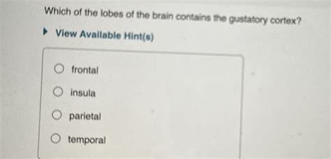Solved Which Of The Lobes Of The Brain Contains The