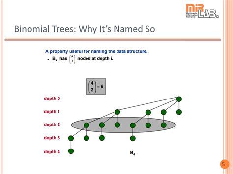 Ppt Binomial Heaps And Trees For Efficient Memory Allocation