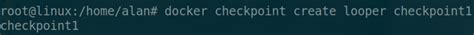 Docker Checkpoint Failed · Issue 546 · Checkpoint Restorecriu · Github