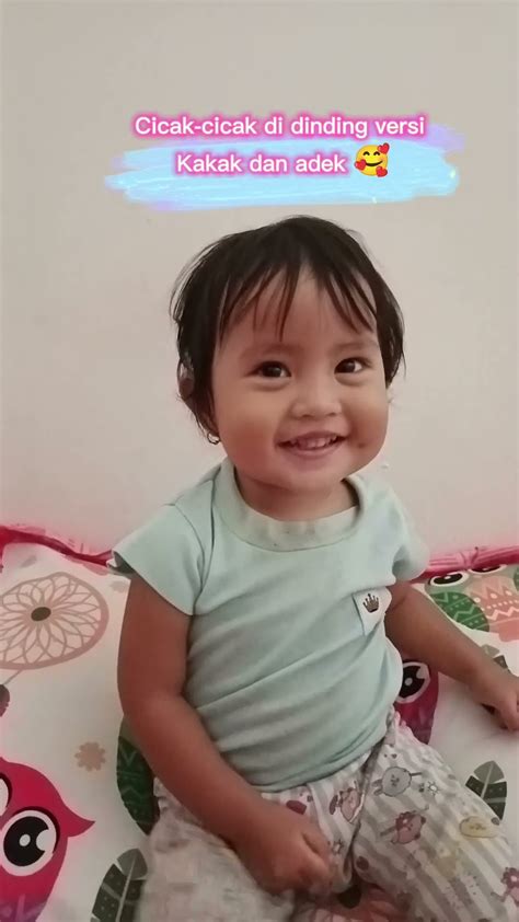 Cicak Cicak Di Dinding 🦎 Youtube