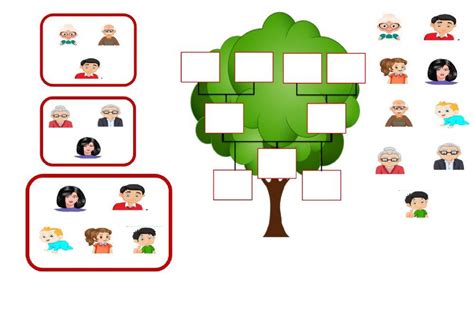 Родословно дърво Worksheet Live Worksheets