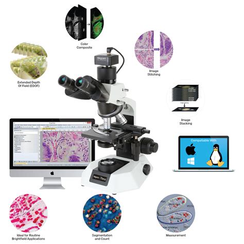 Magvision Software Tsuyoi Bioscience Technologies