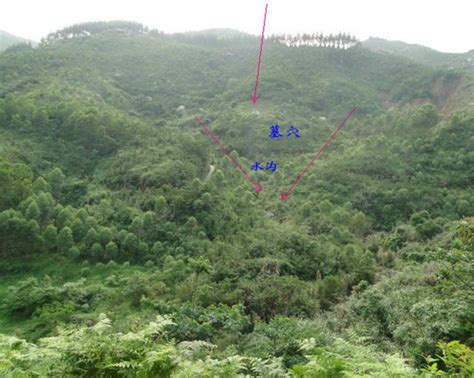 辭世親人的墳墓應如何安置風水師手把手教你識別 安墳入式歌 每日頭條