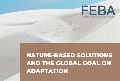 Naturebasedsolutions Cop27 Nbs Nature Based Solutions Initiative