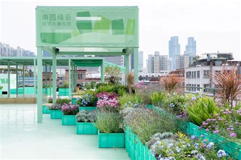 低碳社造空间新模式 屋顶共建花园“南园绿云” 一十一建筑 Roof Garden Green Roof Clouds