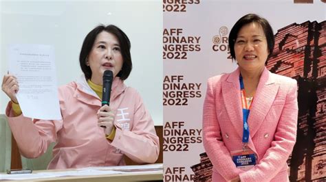 王鴻薇提案砍元首卸任禮遇綠委控抄襲 爆當年沒過是這原因