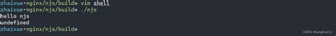 Nginx 官方的脚本njs环境搭建和使用njs如何使用 Csdn博客