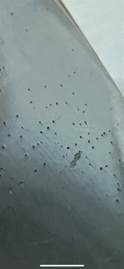 Please Help Me To Explain About Defect Of Stainless Steel Casting In