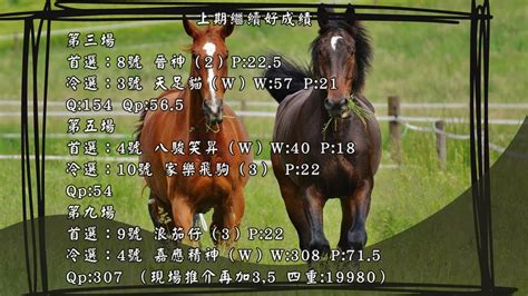 綠茵快活group 排位尋寶 2月25日（星期日） 沙田十場賽事 （草地賽道a3跑道）三冠大賽次關~香港金盃賽馬賽馬貼士hkjc賽馬