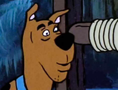 Scooby Doo Funny Memes Scooby Doo Meme Templates Zdcx