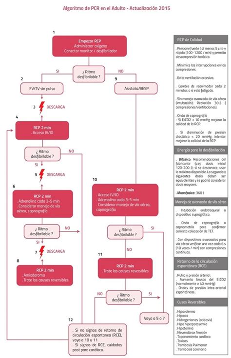 Algoritmos De Reanimacion Cardiopulmonar Basica Y Avanzada My Xxx Hot