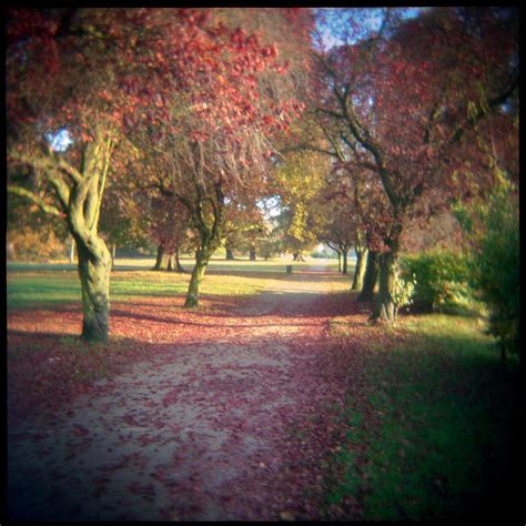 Trent Park In Autumn Photograph By Paul Boocock Fine Art America