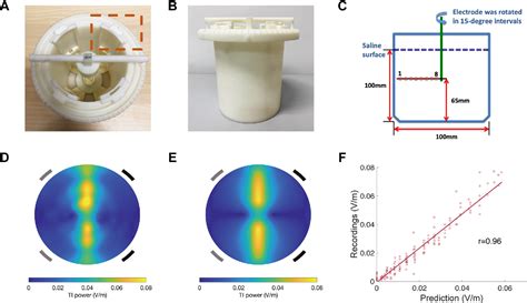 Figure 6 From Temporal Interference Stimulation Targets Deep Primate