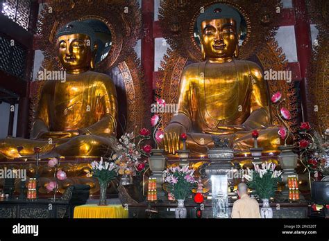 广州市 中國 Guangzhou China Temple Of The Six Banyan Trees Tempel Der