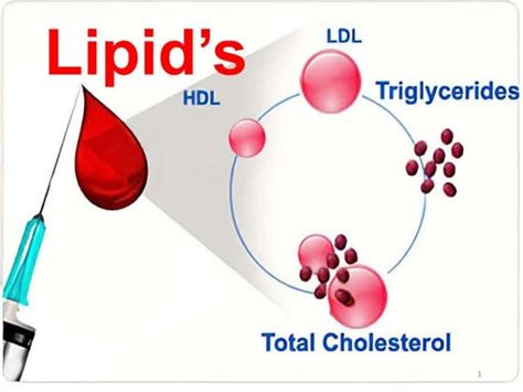 Lipids Definition Properties Structure Types Examples Functions