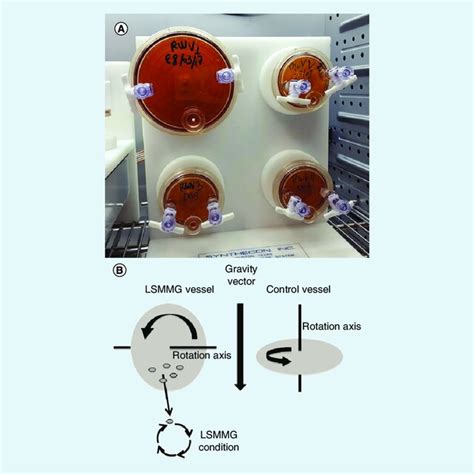 Random Positioning Machine With Two Independently Perpendicular Frames