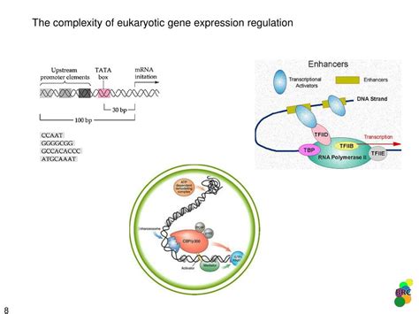 PPT Analysis Of Gene Expression Data PowerPoint Presentation Free Download ID 2747891