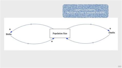 15 Paradox Examples That Will Blow Your Mind