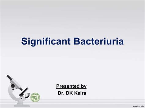 Stool Wet Mount Preparation Pdf Medical Tests Medical Health