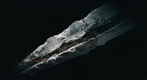 Biodiversity Offset Strategies → Fundamentals