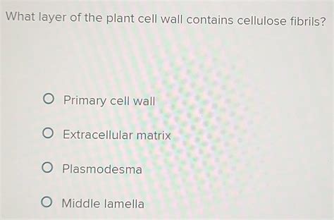 Solved What Layer Of The Plant Cell Wall Contains Cellulose Fibrils