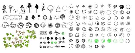 Shrubs Trees Plants Top View Plan And Elevation 2d Dwg