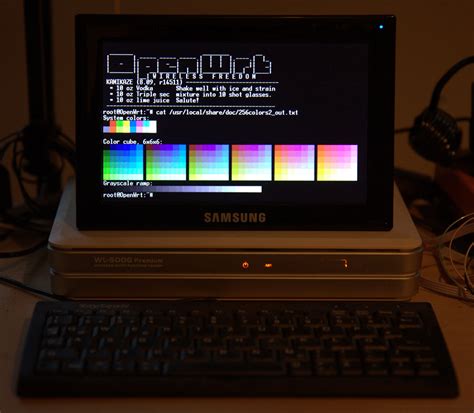 plug a monitor into your linux based router r programming