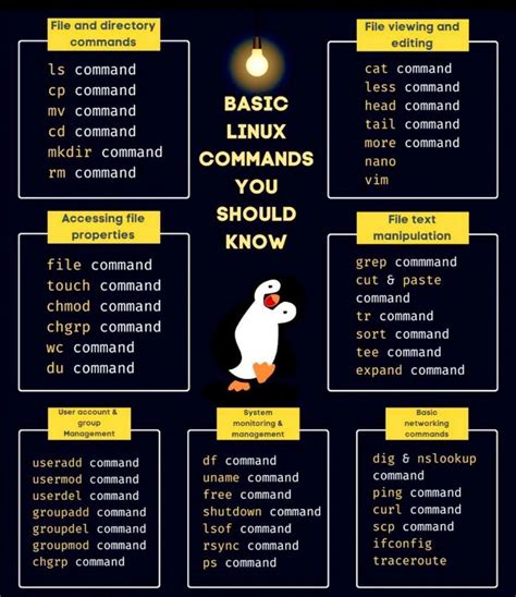 Eng Mohamed Almasri On Linkedin Basic Linux Commands You Should Know Linux Linux