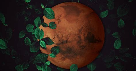 Ray Lyons Posted On Linkedin