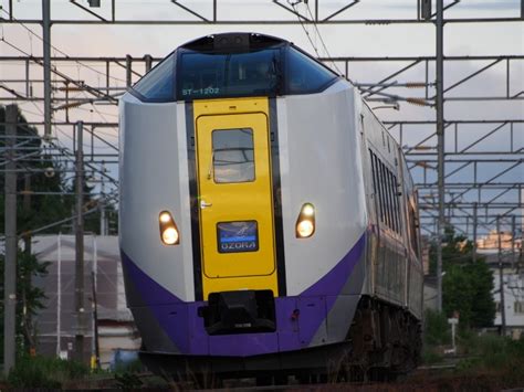 JR北海道キハ261系気動車 おおぞら キハ261 1202 苗穂駅 鉄道フォト写真 拡大 by ここはどこさん レイルラボ