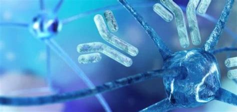 March 2021 Creative Biolabs Adc Blog