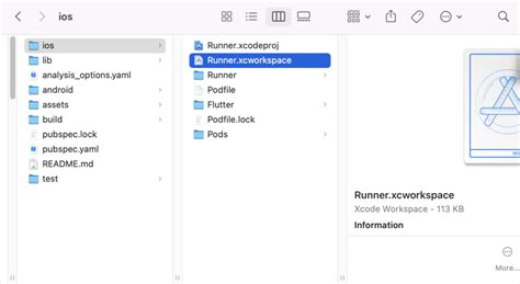 How To Add An Ios Native Framework In The Flutter Project Absyz