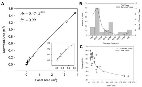 A Allometric Relationship Between Sapwood Area As And Basal Area Download Scientific