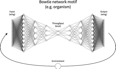 Figure 4 From Hierarchical Network Structure As The Source Of