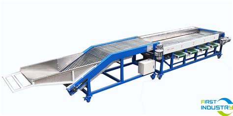 Dates Grading Machine