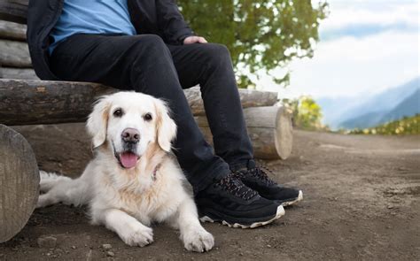 プロキシの環境変数は難しくない プロキシサービス研究ブログ