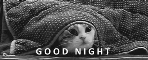 Funny Good Night S