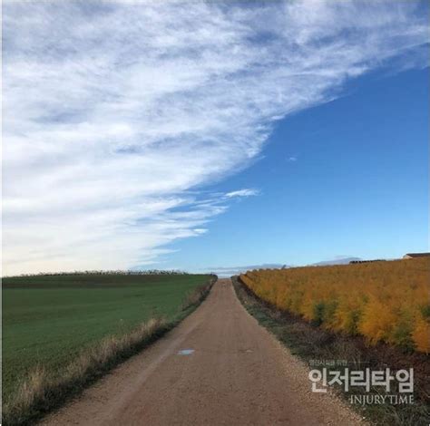 오동호의 산티아고 순례기 11 프리미티보 순례길과 새로운 청춘 인저리타임