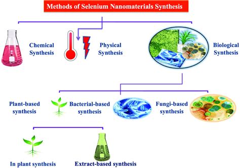 Different Routes For The Synthesis Of Senps Download Scientific Diagram