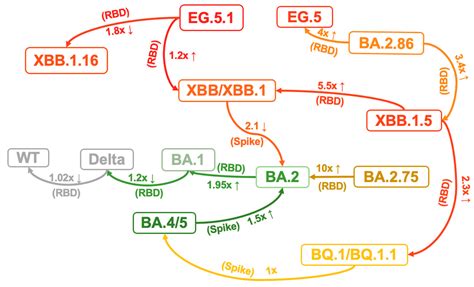 Viruses Free Full Text Evolution Of The Sars Cov 2 Omicron Variants