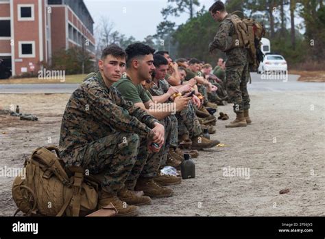 Us Marines With 8th Engineer Support Battalion Esb Combat