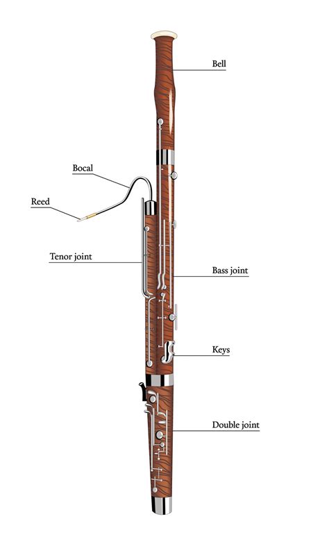 The Bassoon